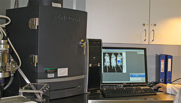 Colitis | TCDM - Turku Center for Disease Modeling Colitis | TCDM - Turku Center for Disease Modeling